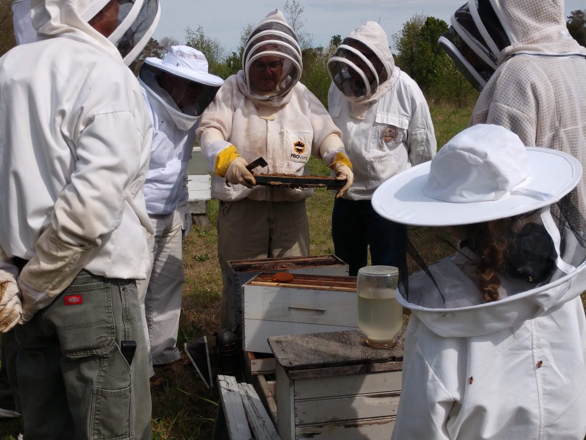 Contact a Beekeeper – SC State Beekeepers Association